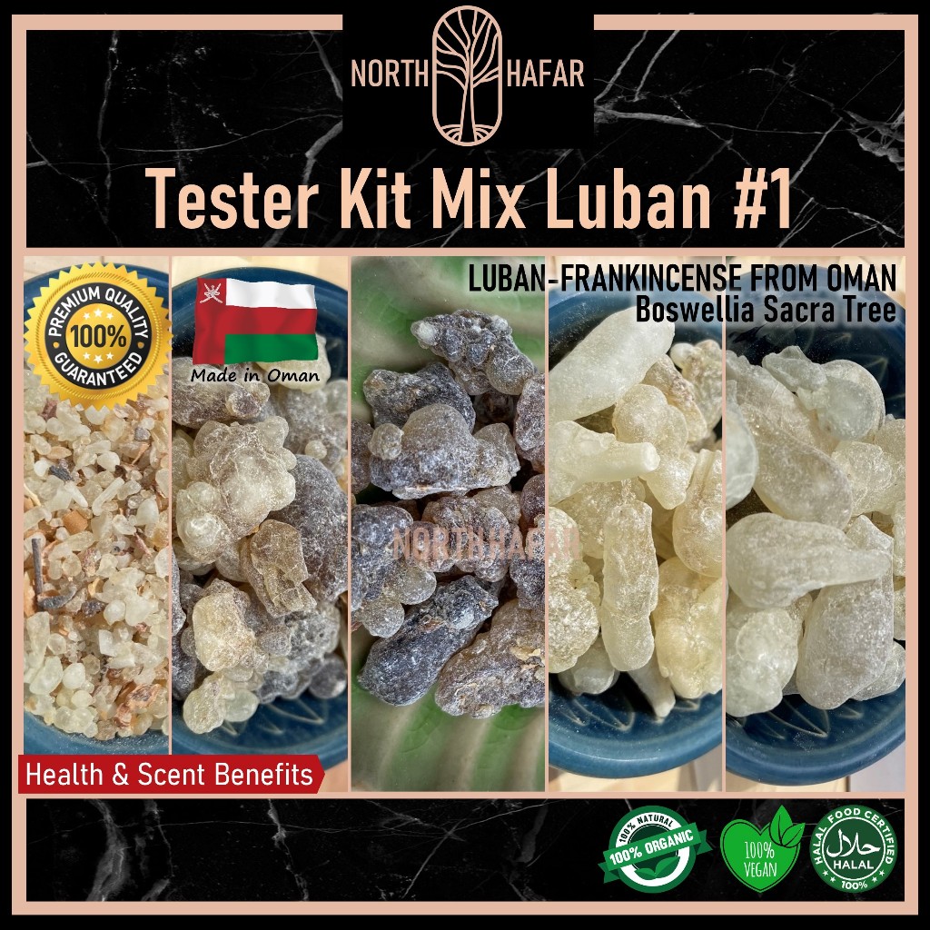 Luban Oman Tester Kit Mix #1, Damar Kemenyan Arab Frankincense Incense Olibanum Boswellia Sacra ...