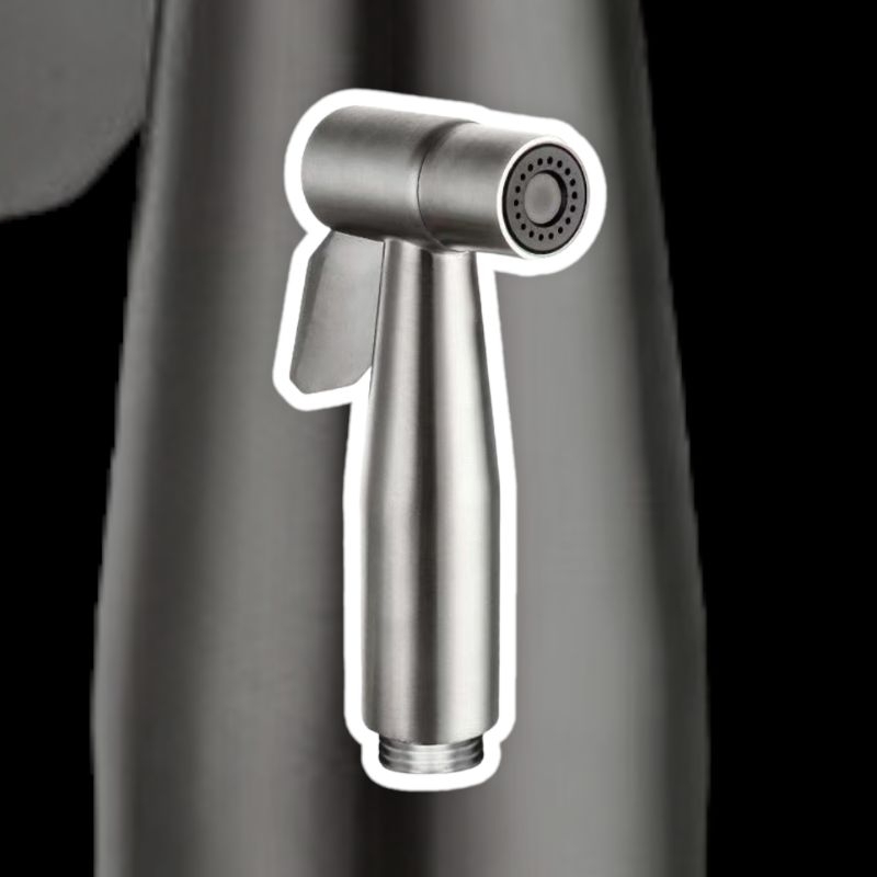 SUS304 STAINLESS STEEL HAND BIDET FOR TOILET BATHROOM MODERN HAND SPRAY ...