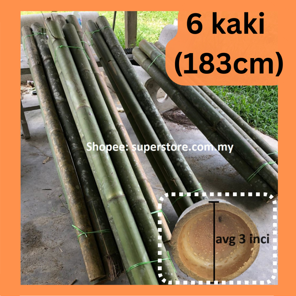 Buluh Belum Belah 6 kaki/Buluh Bulat/Bamboo Stake/Buluh Pancang/Bamboo ...