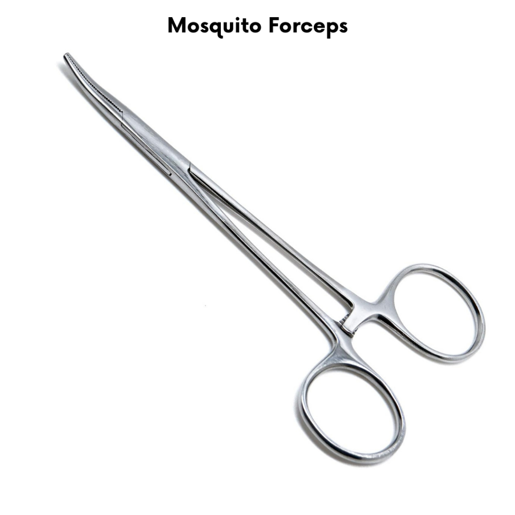 Stainless Steel Surgical Dental Instruments Mosquito Hemostatic Forceps ...