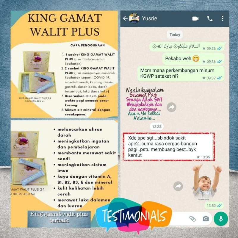 KING GAMAT WALIT PLUS LIQUID JELLY (KGWP) - Bird's Nest, Sea Cucumber & Saffron - Sarang Burung ...