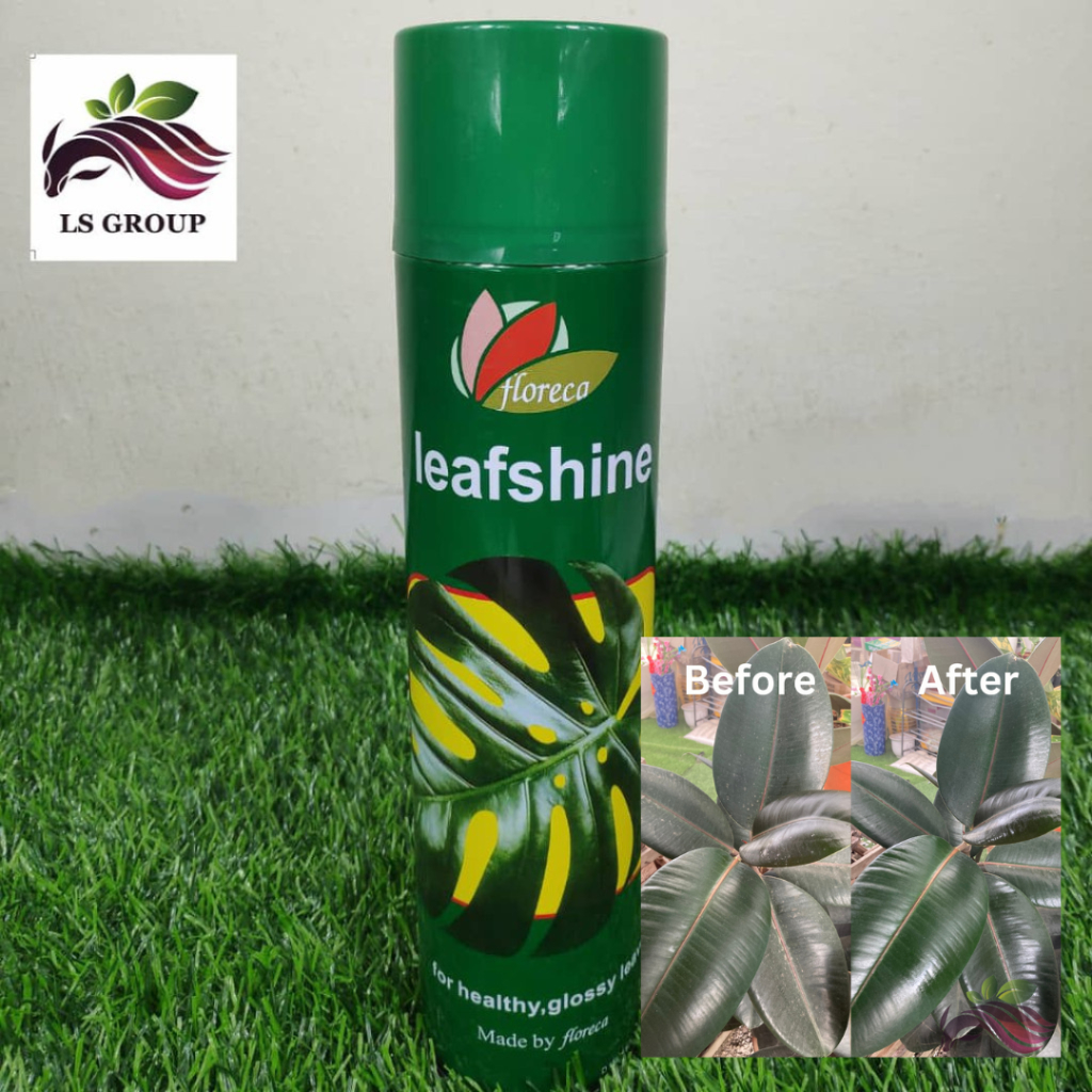 [Fertilizer] Leaf Shine Spray, Spray Daun Kilat 600ML by LS Group ...