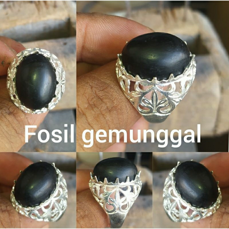 cincin fosil teras gemunggal ( kayu jadi batu rare ) | Shopee Malaysia