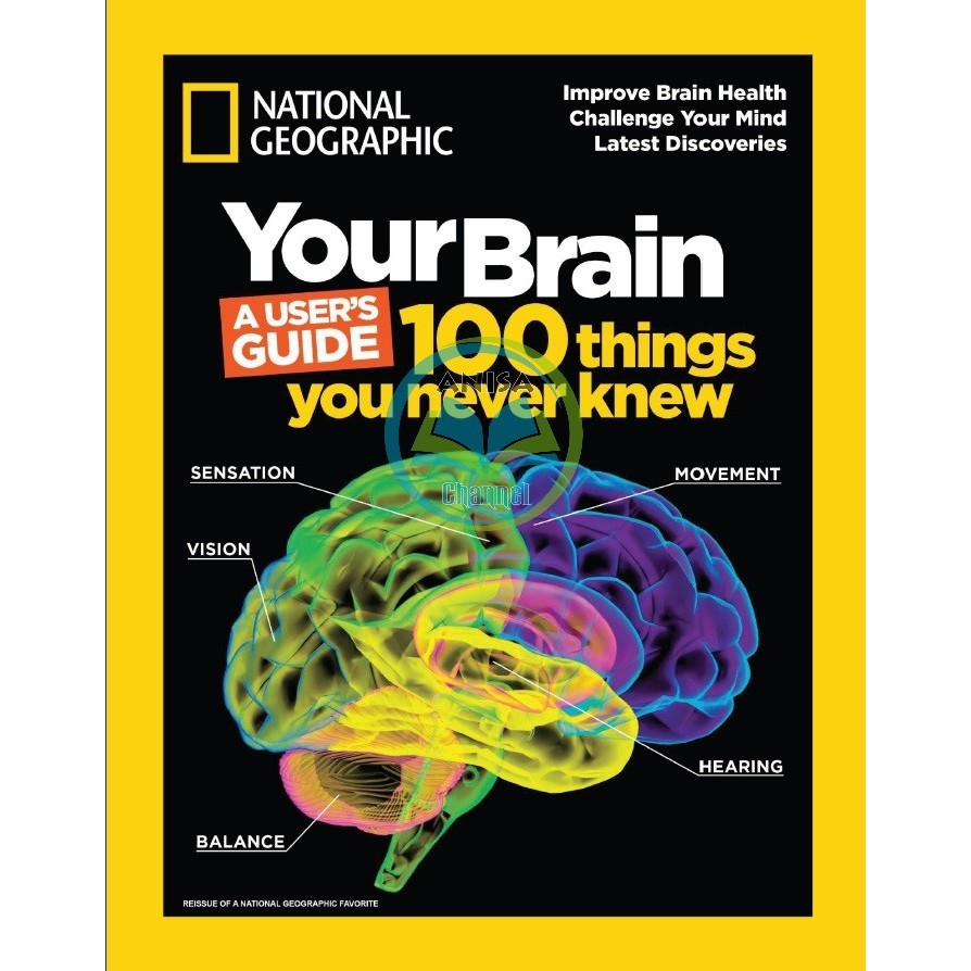 [emagazine Pdf] Your Brain A Users Guide 100 Things You Never Knew