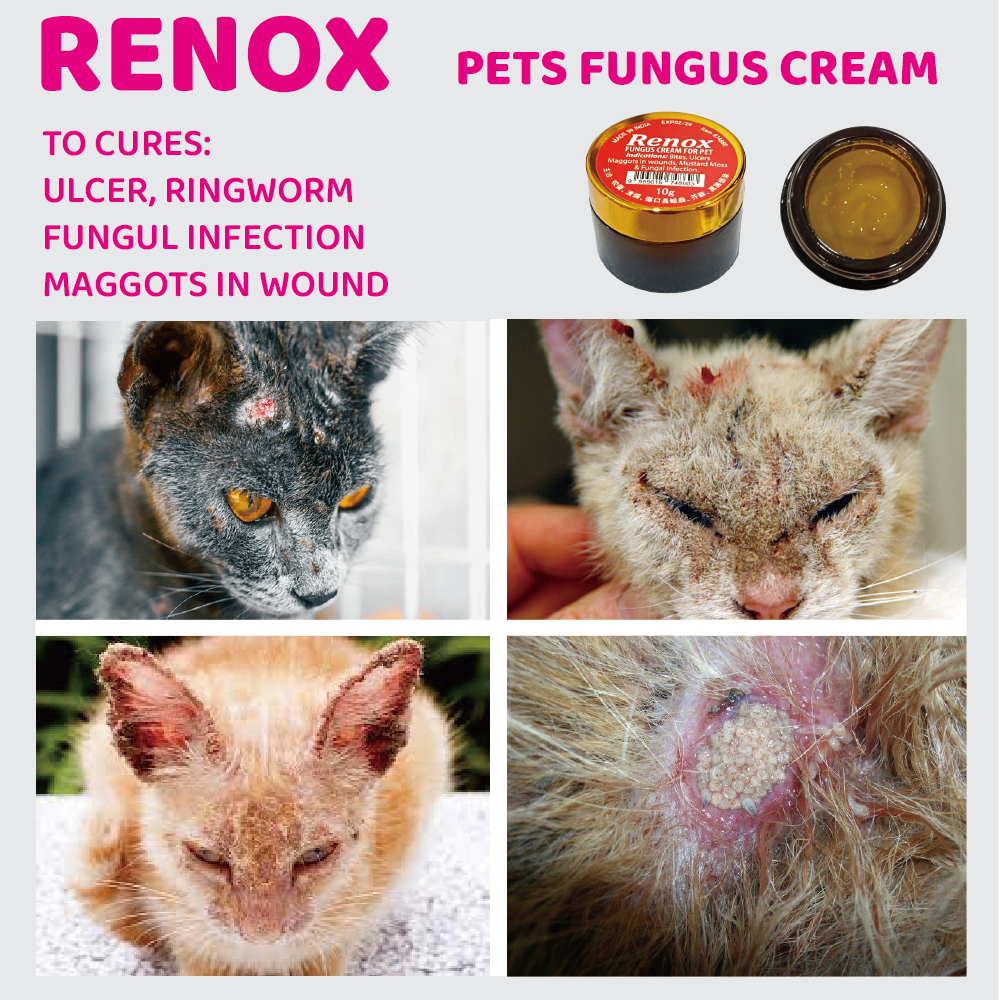 RENOX Pet Fungus & Mange Cream | Skin Care for Itchy & Irritated Pets ...