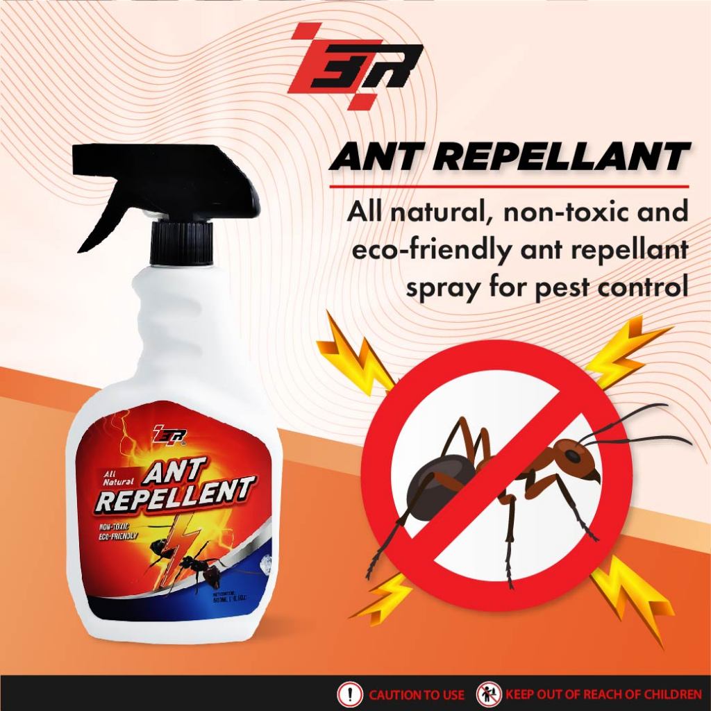 3R Ant Repellent Ant Killer Spray (500ml) | Shopee Malaysia