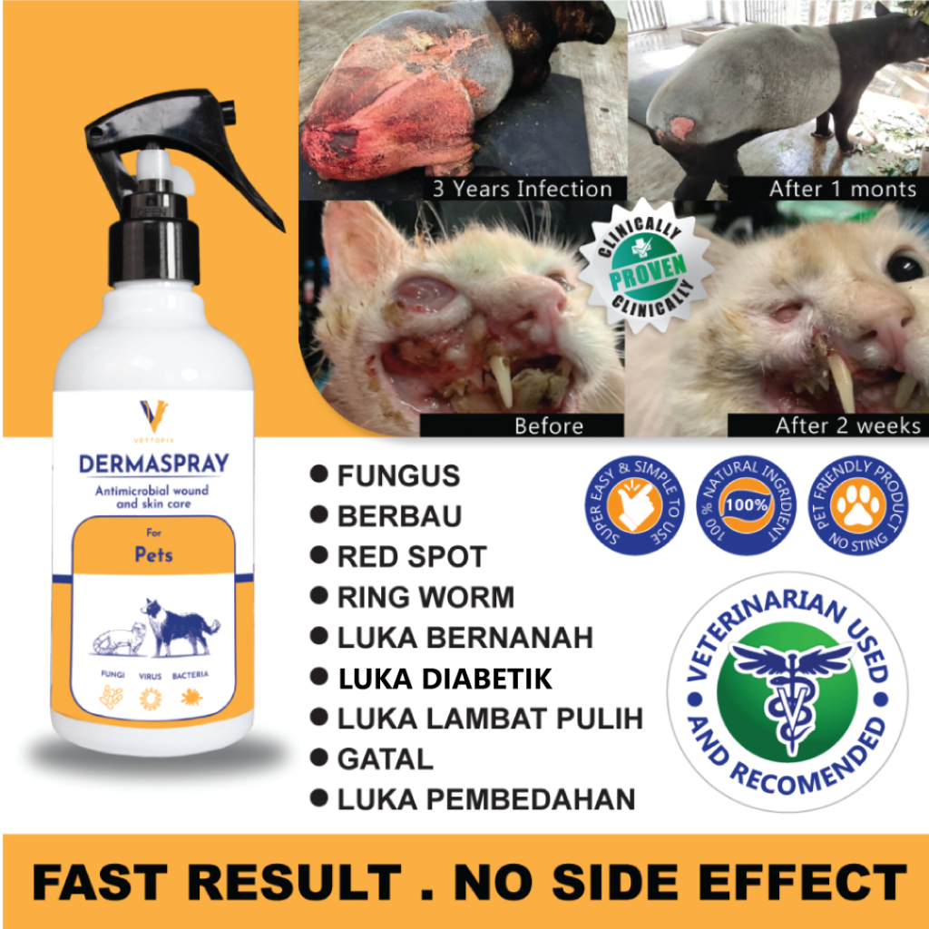 DERMASPRAY Antimicrobial Wound Spray [Pets | Anjing Kucing Arnab Burung ...