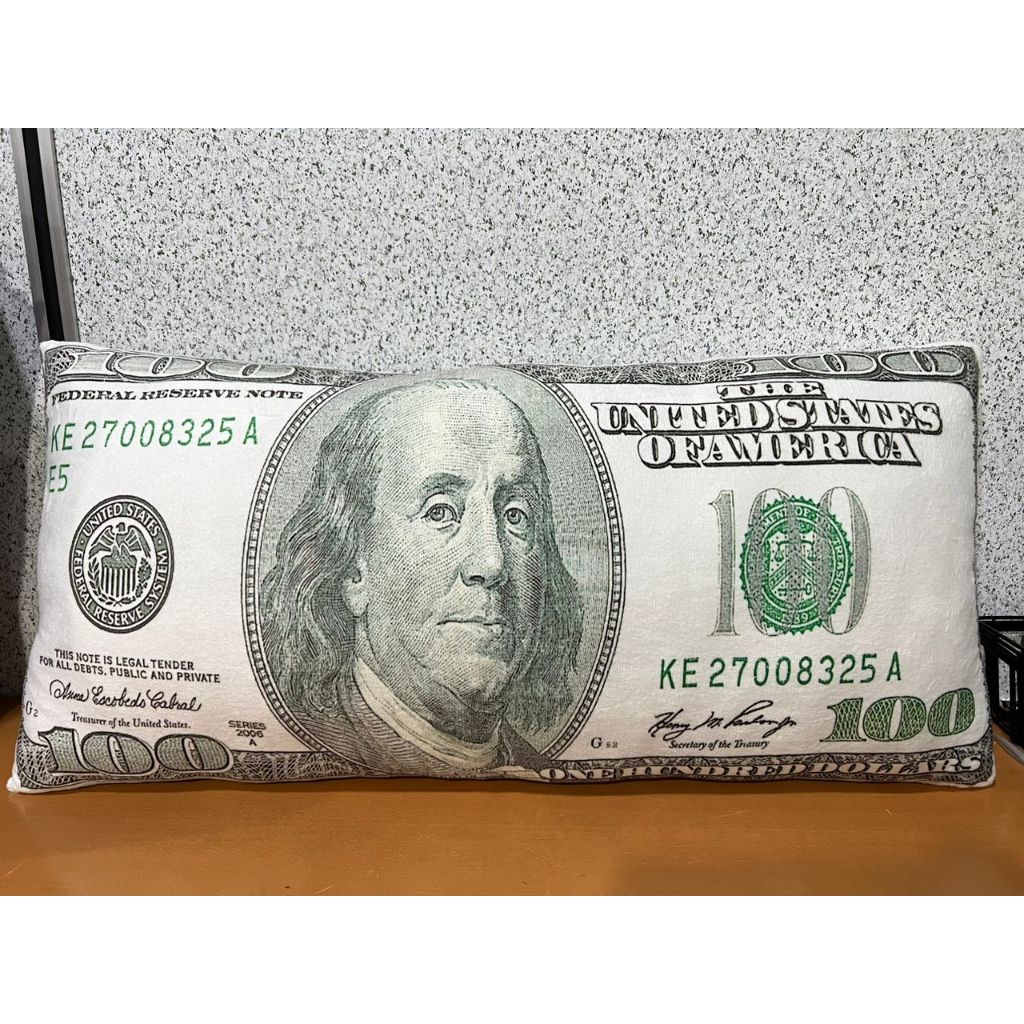 READY STOCK MONEY PILLOW BANTAL DUIT பணம் பில்钱枕 RM10 RM20 RM50 RM100 ...