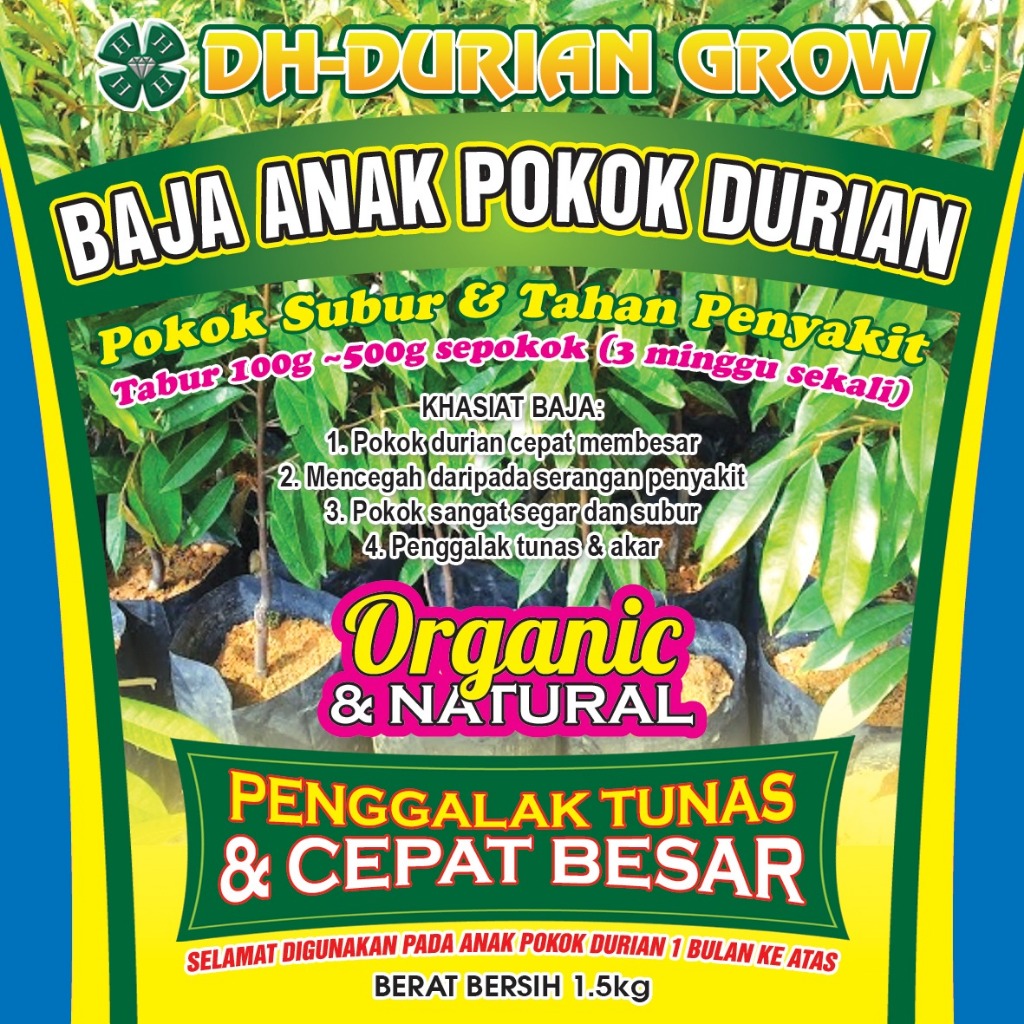 Baja Anak Pokok Durian Pokok Subur Tahan Penyakit | Shopee Malaysia