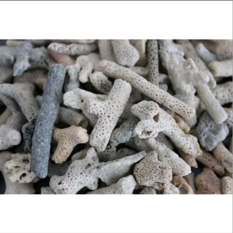 CORAL STONE AQUARIUM FILTER MEDIA | Shopee Malaysia