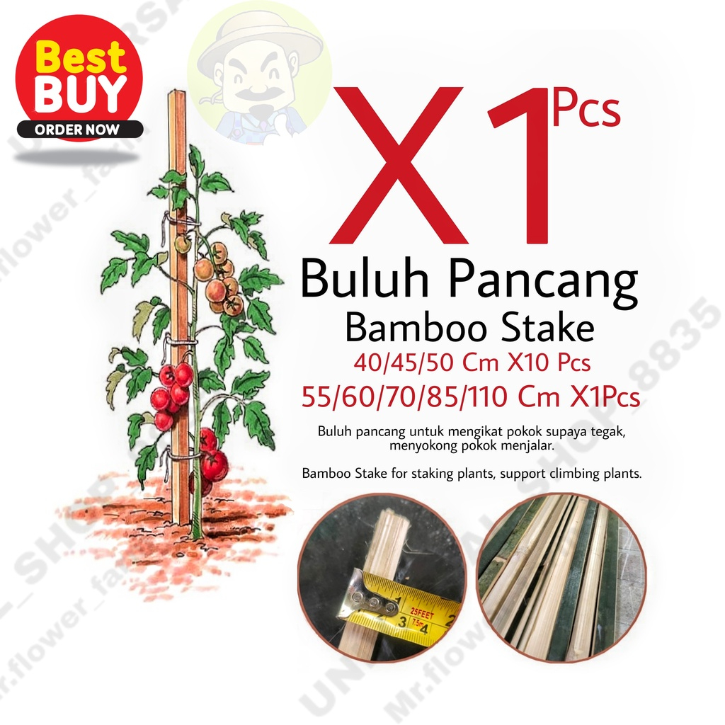 Buluh pancang X1 Pcs/sizes 50 -110 cm / Bamboo stakes /support plants ...