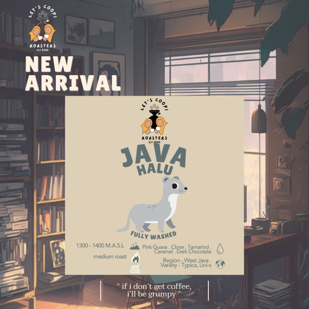 Java Pink Halu (NEW) | Shopee Malaysia