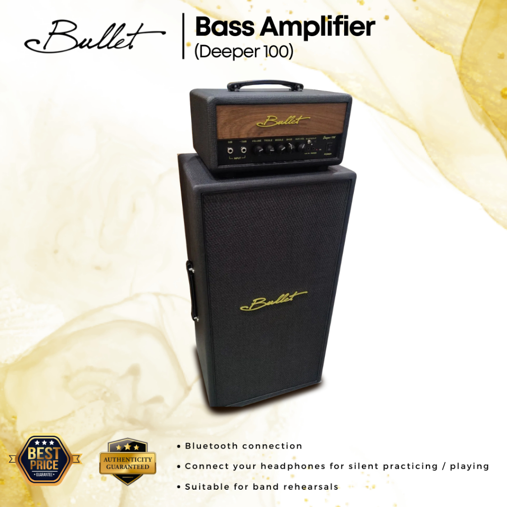 Bullet Cabinet and Head Bass Amplifier Deeper 100 watt with Bluetooth ...