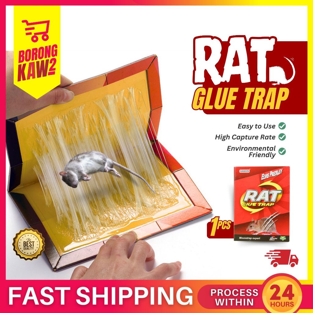 BKK HX-6009 1PCS Mouse Trap Rat Catcher Strong Glue Lizard Insect ...