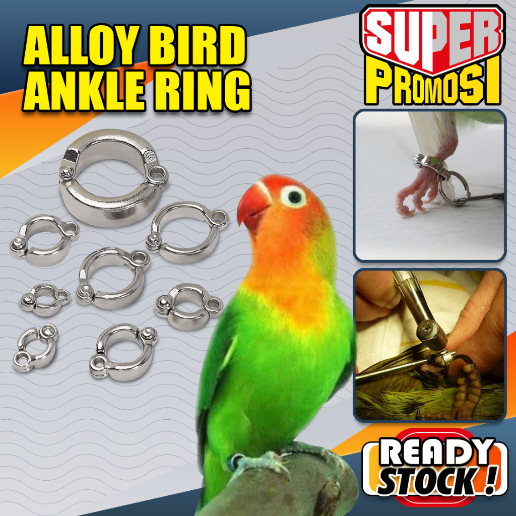 Gelang Kaki Burung Alloy Birds Foot Ring Rantai Burung Alloy Leg Ring ...