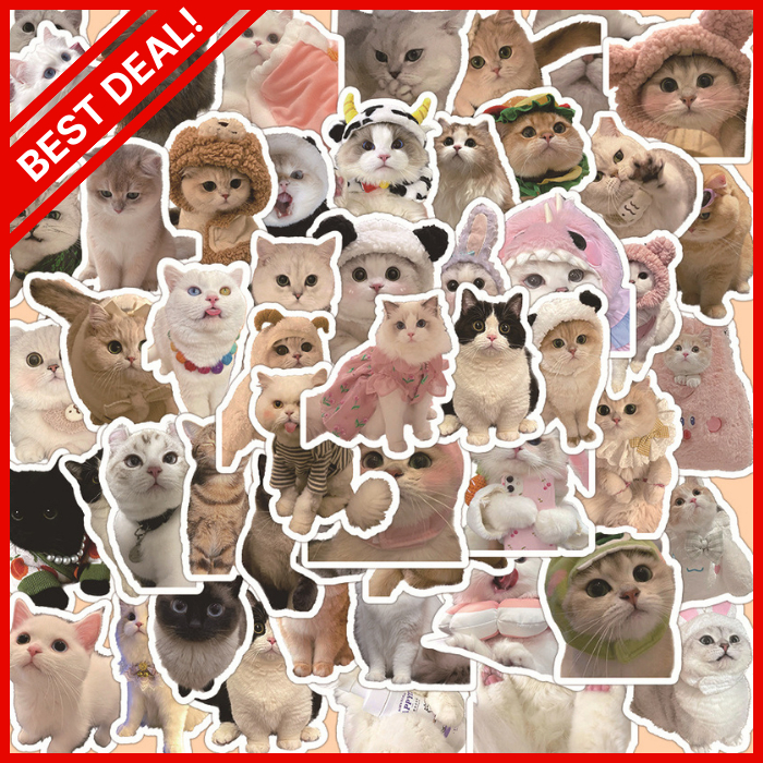 【Ready Stock】60Pcs/Set Cat stickers Cute and Realistic Kitten Insta ...