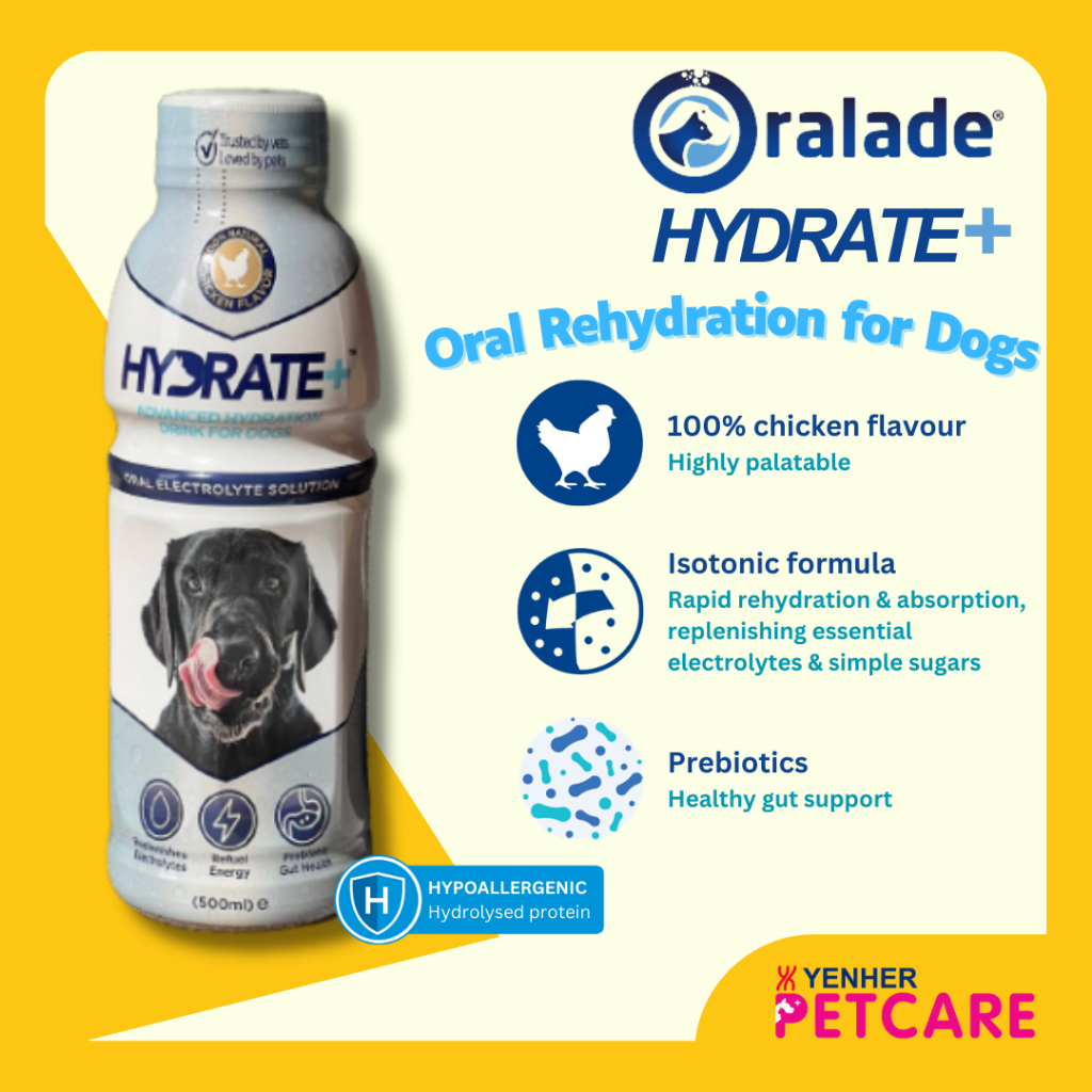 Oralade Hydrate Dog - Oral Rehydration Fluid for Dog, Hydrate+, 500ml ...