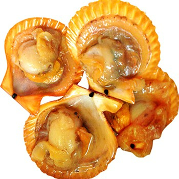 1Kg Premium Golden Half Shell Scallop Frozen 23pc+- | Shopee Malaysia