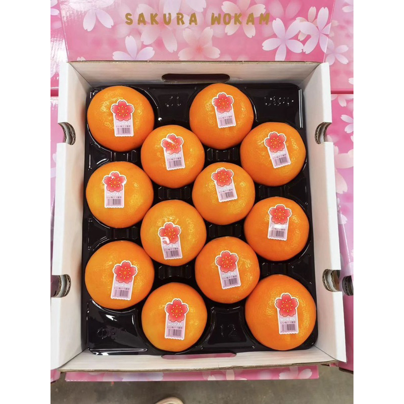 China Sakura Wogan Mandarin 中国樱花沃柑 | Shopee Malaysia