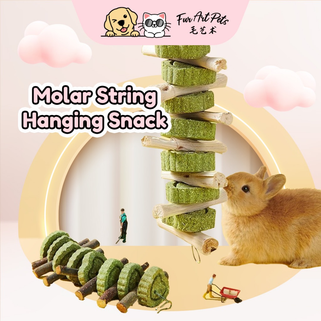 Pet Grass Cake Strings-Nutritious Snack Strings fo Small Pets,Ideal for ...