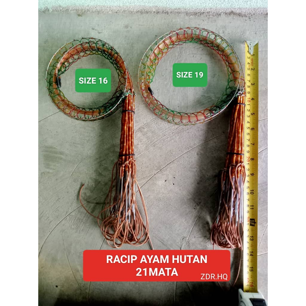 (RACIP AYAM HUTAN 21 MATA)racip ayam | Shopee Malaysia