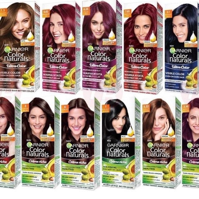 Garnier Hair Colour Kit | Shopee Malaysia