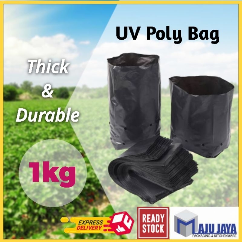 Poly bag 1KG Poly beg Black Hitam Planting bag Growing Plants Fertigasi ...