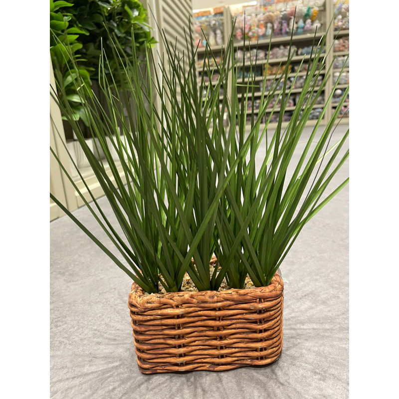 #10 [READY STOCK] Kaison Artificial Plant / Pokok Hiasan Kaison (dalam ...