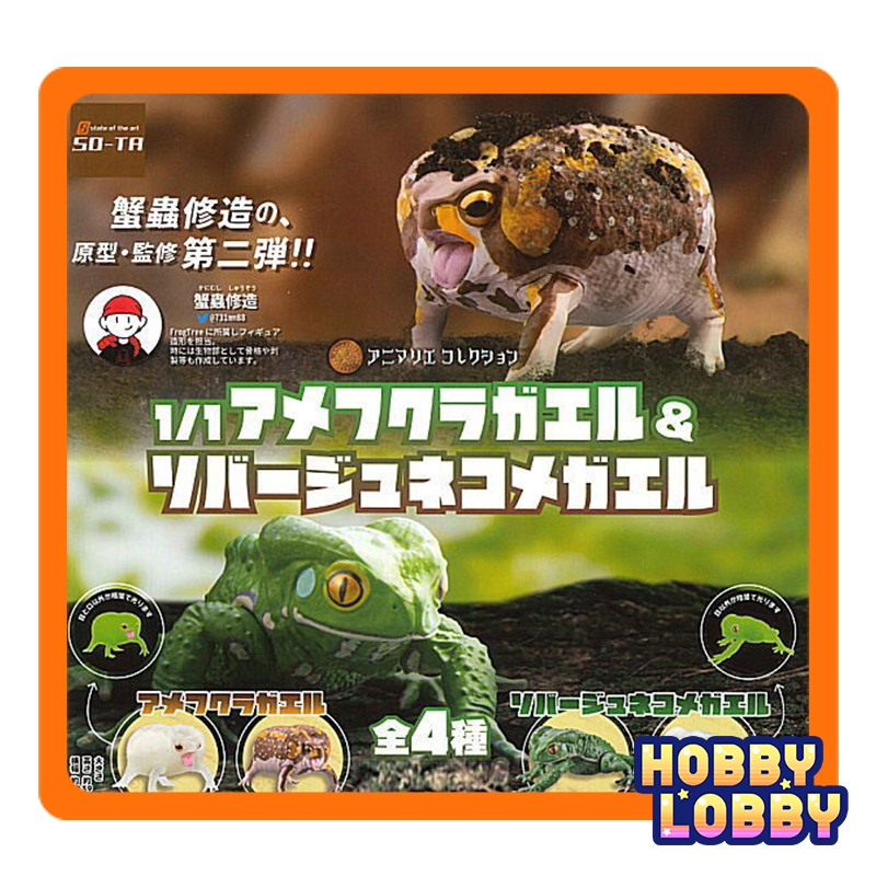 (READY STOCK) SOTA - 1/1 Breviceps Adpersus & Waxy Monkey Tree Frog capsule [Set of 4] | Shopee ...
