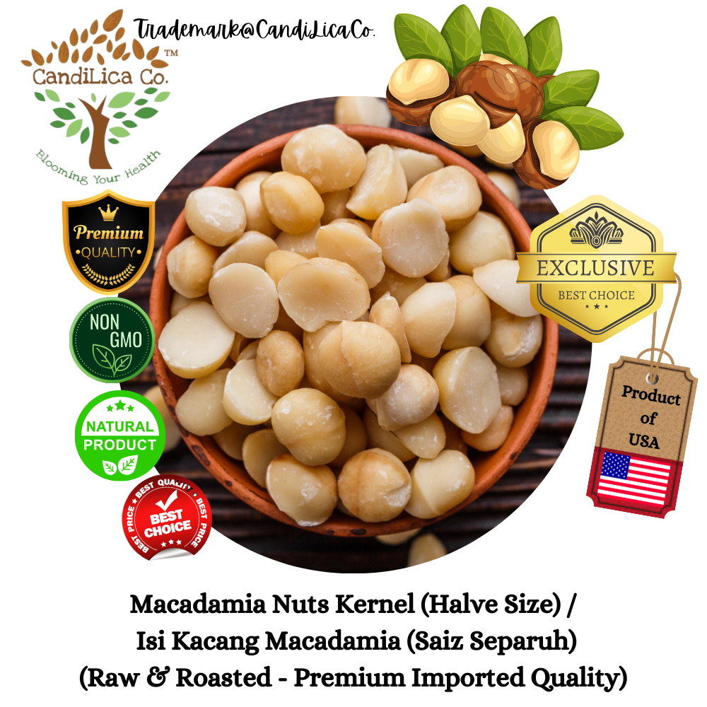 Macadamia Nut Kernels (Halve Size) | Kacang Macadamia Separuh | 半颗夏威夷果仁 ...