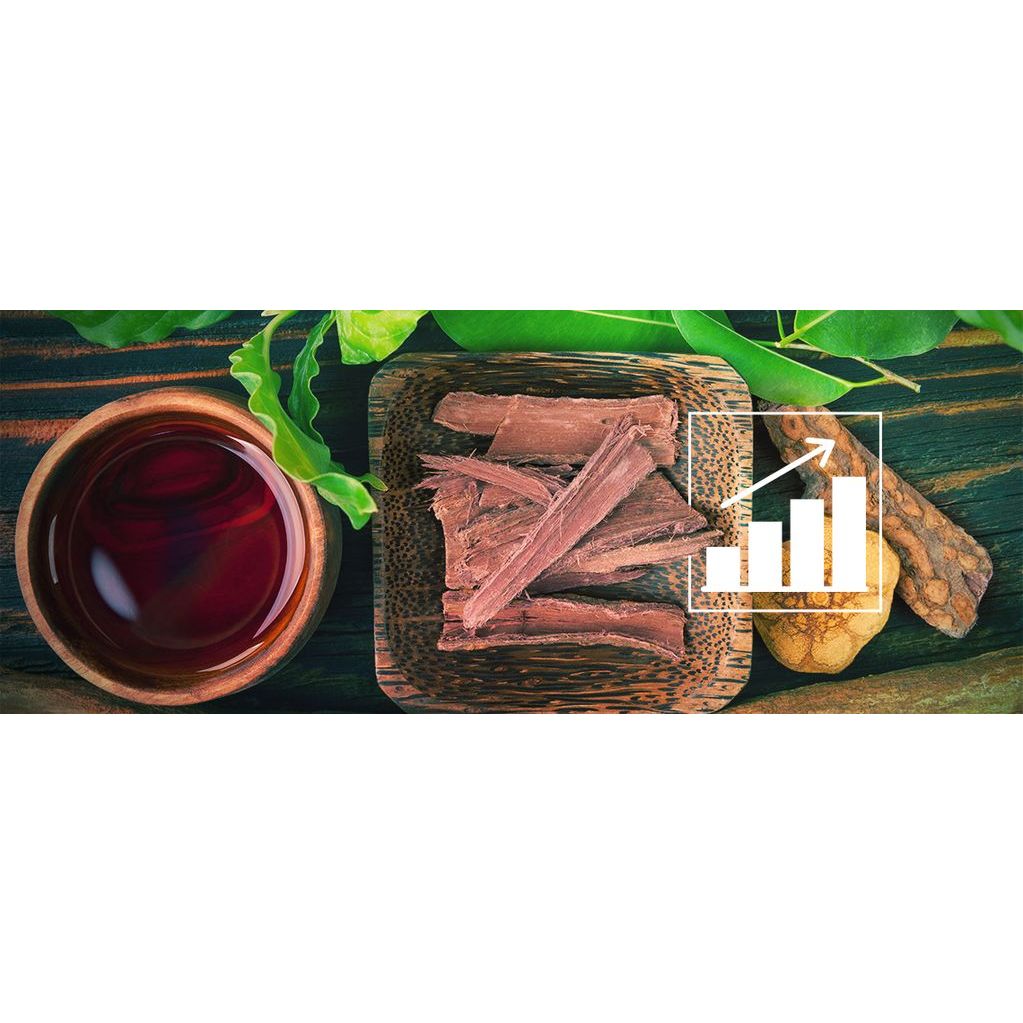 the A*yahuasca Vine wood / leave dried (Banisteriopsis Caapi) Yage ...