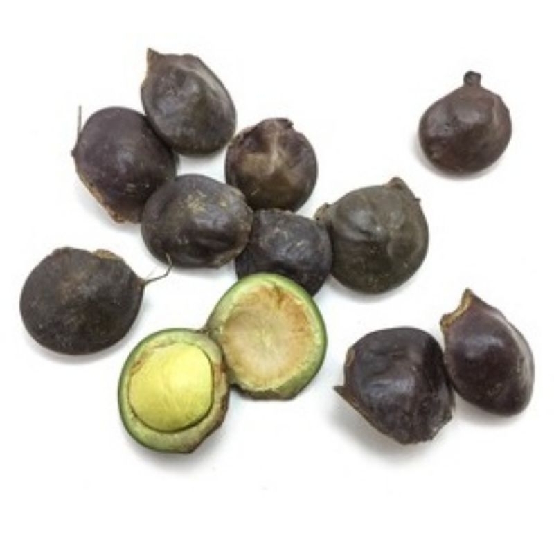 Jering Segar / Jengkol Segar | Shopee Malaysia