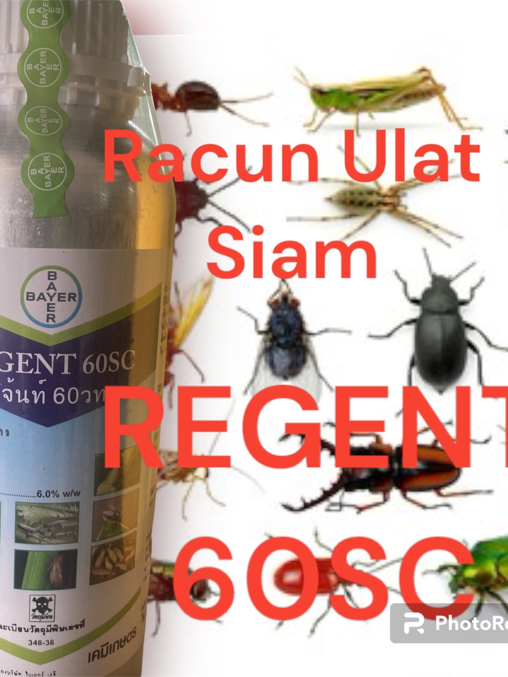 1lit. / Racun Ulat Siam Regent 60SC / Racun Serangga Siam / Mengawal ...