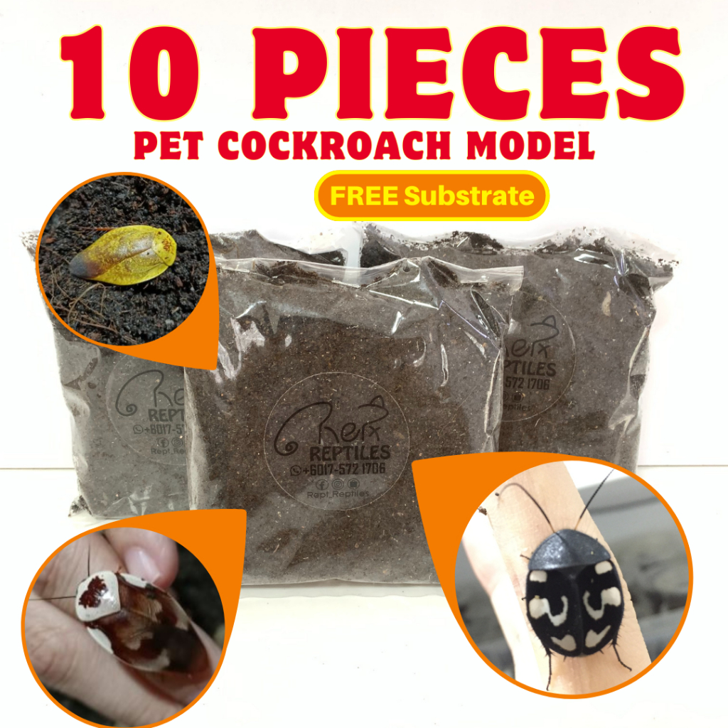 🔥Ready Stock🔥 300ml Pet Cockroach Substrate / soil / Pet Roaches ...