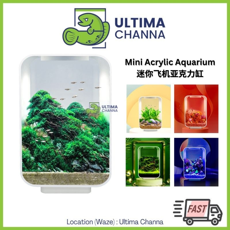 Premium Mini Acrylic Aquarium Complet Set with LED light & Filter for ...