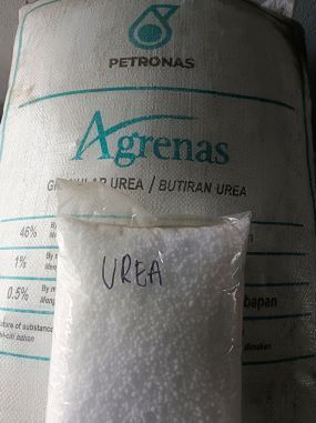 Petronas Urea 46%N Repack 2kg / Baja Daun | Shopee Malaysia