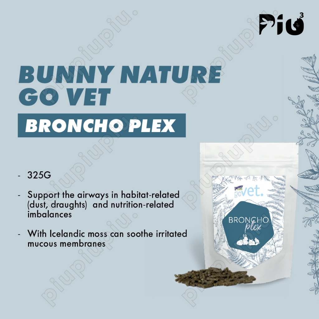 [24 HR SHIP] BUNNY NATURE goVet Rabbits Guinea Pigs Chinchillas Degus ...