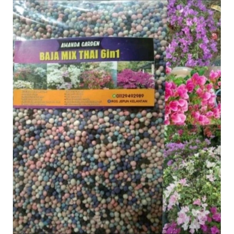 BAJA MIX THAI 6in1 BAJA PAKSA BUNGA,LEBATKAN BUNGA, BUAH, SAYURAN ...