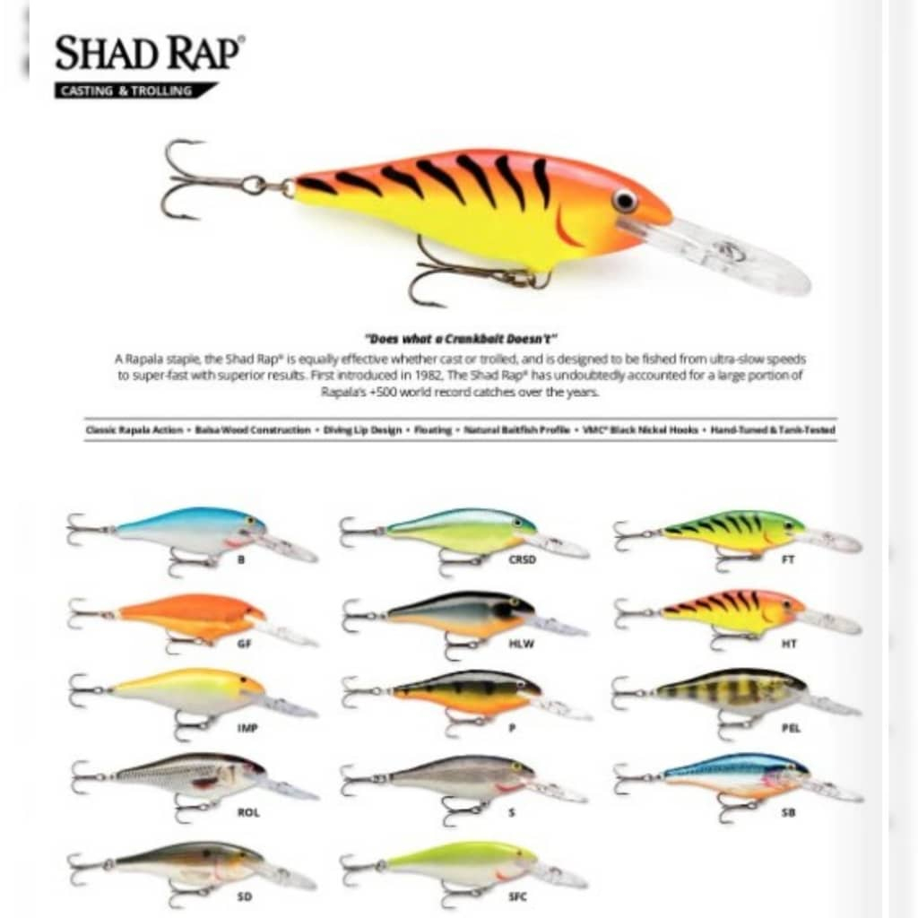 RAPALA Shad Rap SR-7 Deep Runner Lure SR07 SR7 | Shopee Malaysia