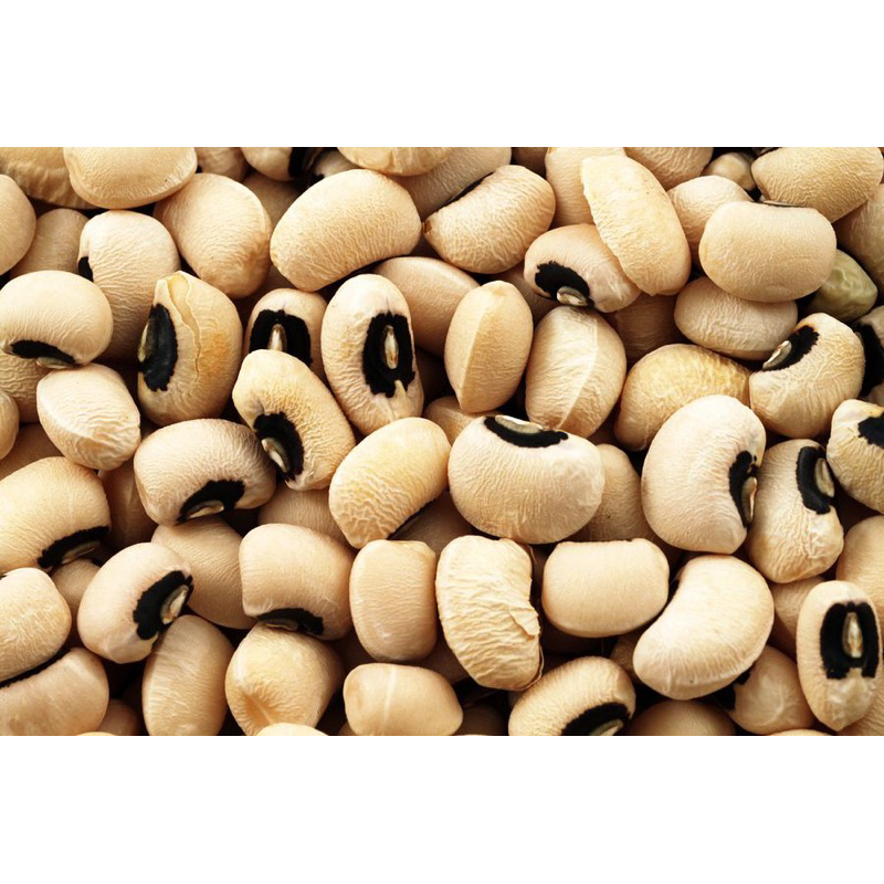眉豆 Black Eyed Bean / Kacang Sayur / Kacang Ketupat 250g-500g-1Kg ...