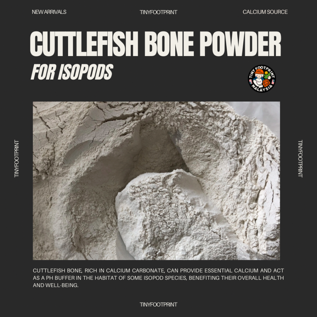 Cuttle fish bone / turtoise , parrot , isopod calcium / calcium powder ...