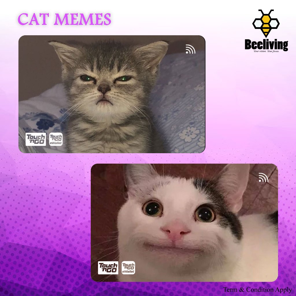 Cat Memes (Series 1) - Touch n Go Card Sticker Cover (Waterproof, High ...