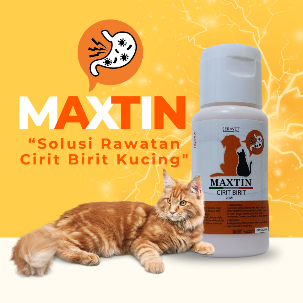 Maxtin Rawatan Penyembuhan Cirit Birit pada Kucing - 20ml | Shopee Malaysia