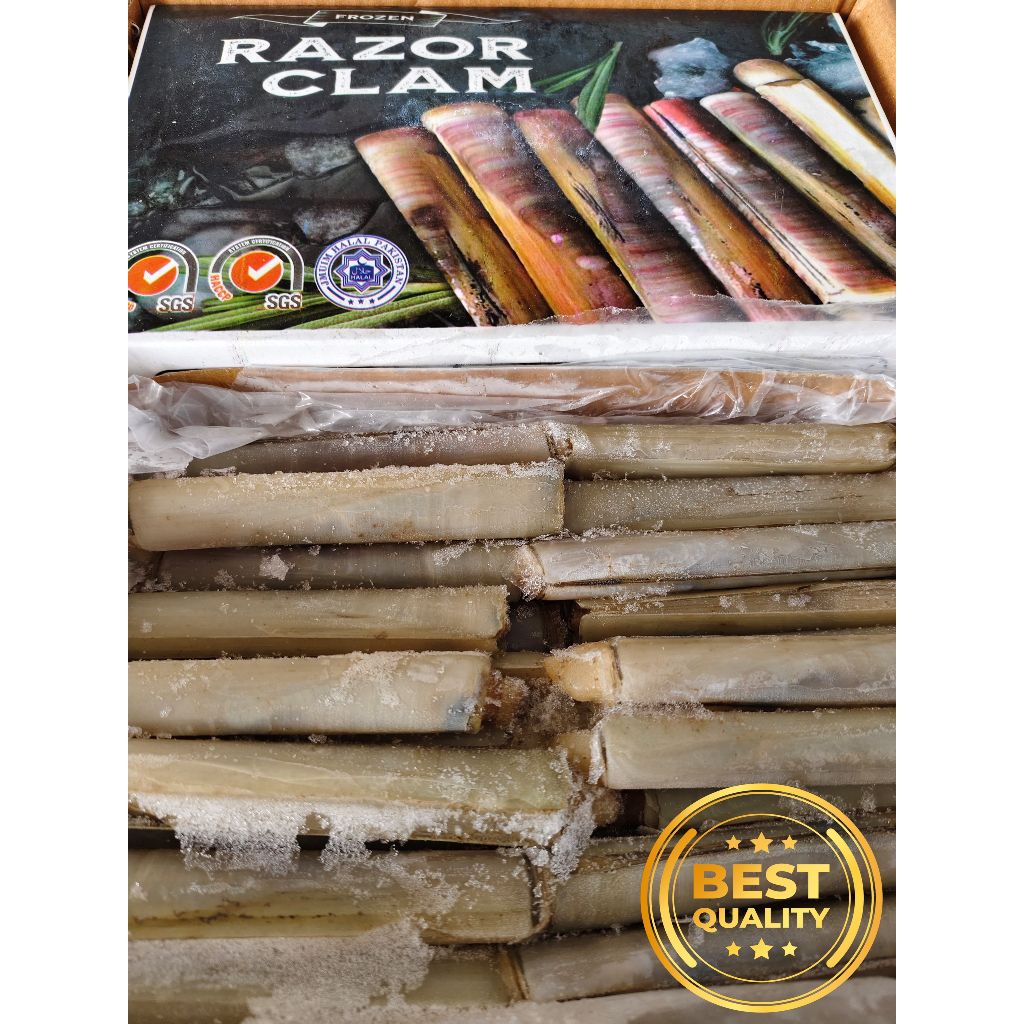 Pepahat/Bamboo Clam/Siput Buluh/ Frozen Seafood / 1kg Packing | Shopee ...
