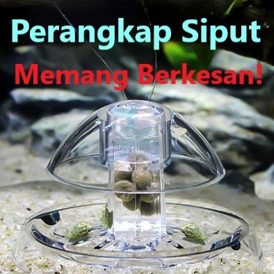 Aquarium Snail Trap For Ramshorn, Trumpet, Pond, Bladder, Trumpet Snail ...