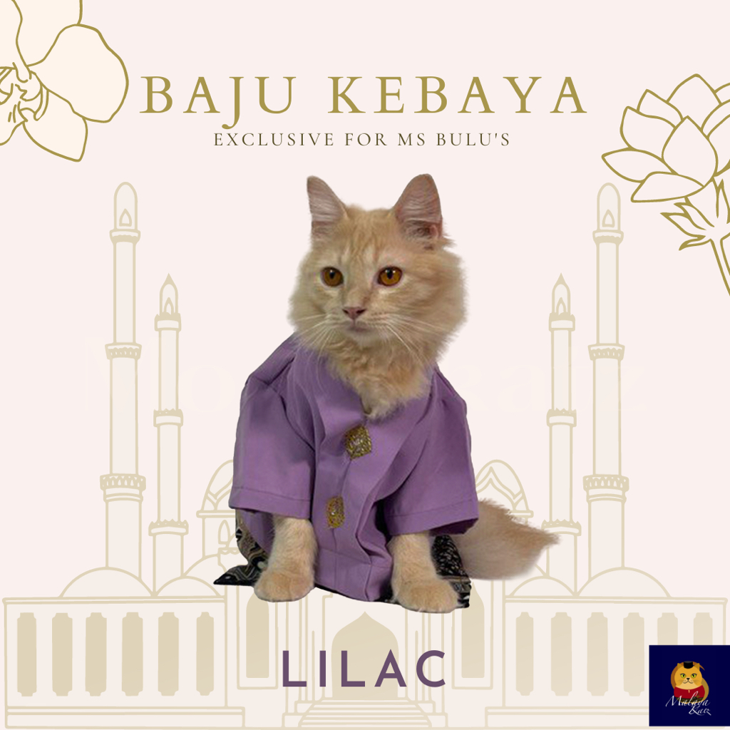 [Ready Stock Raya 2025] Baju Raya , Baju Kebaya Kucing + Kain Batik ...