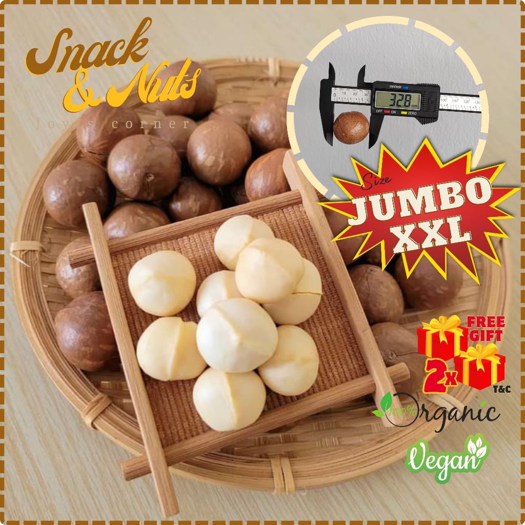 1kg Jumbo XXL Roasted Macadamia Natural taste NO SALT NO SUGAR in shell ...