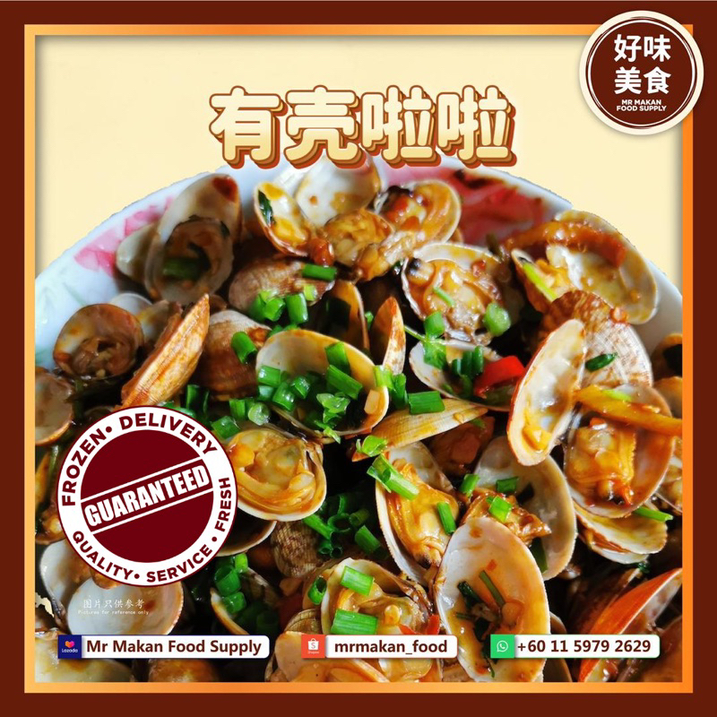 有壳拉拉 Orient Clam Full Shell ( Hamaguri ) / Kerang Lala-Kepah Hamaguri ± ...