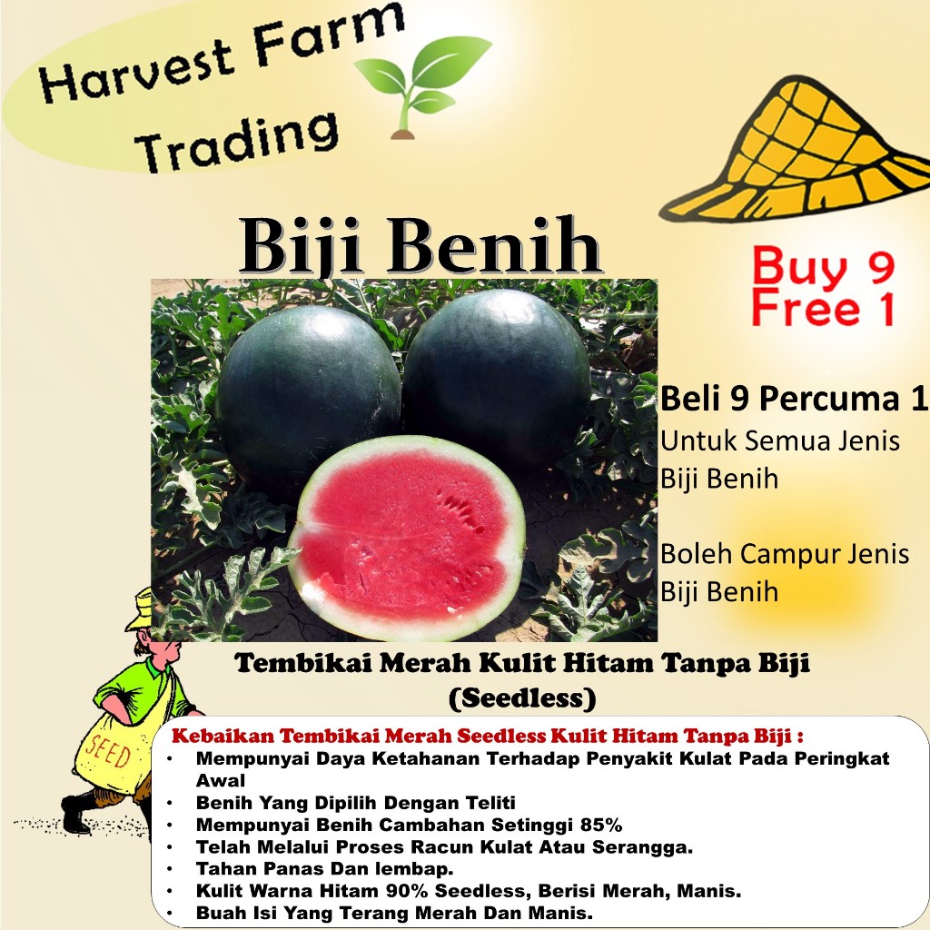 biji benih sayur sayuran pelbagai bunga vegetable seed bibit anak pokok ...