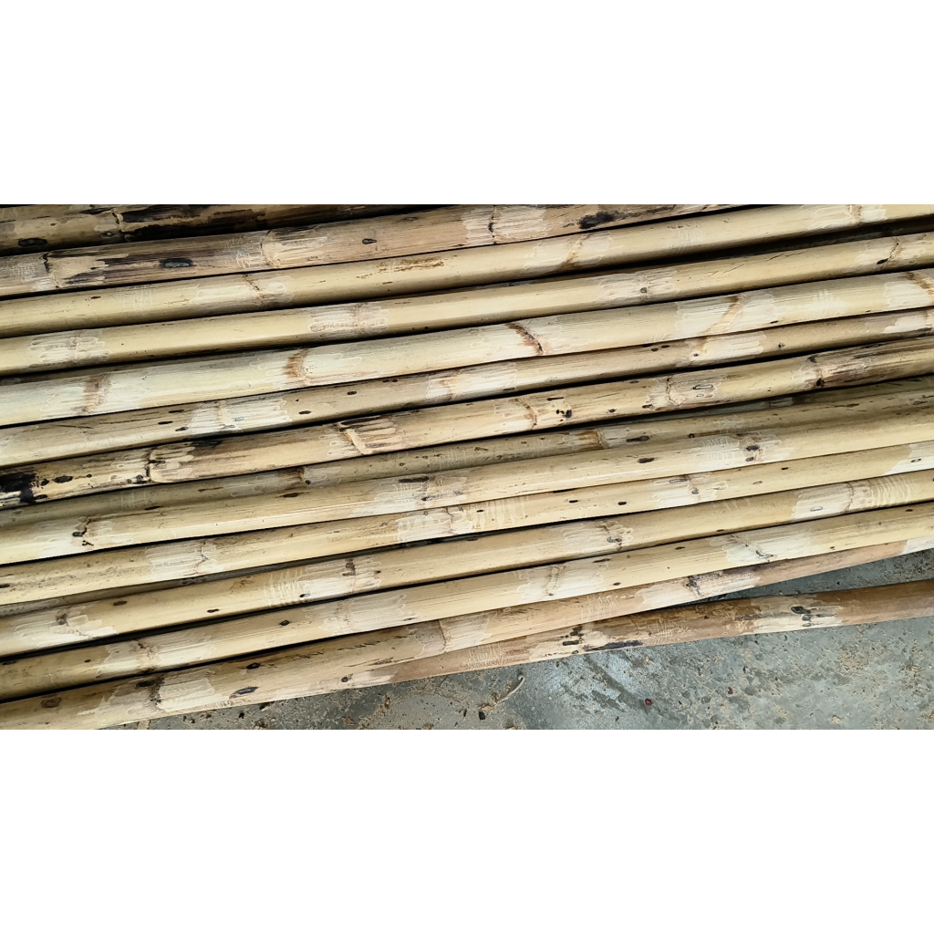 (28mm-32mm)ROTAN PANJANG MANAU PANJANG Rattan stick / Rotan mantang ...